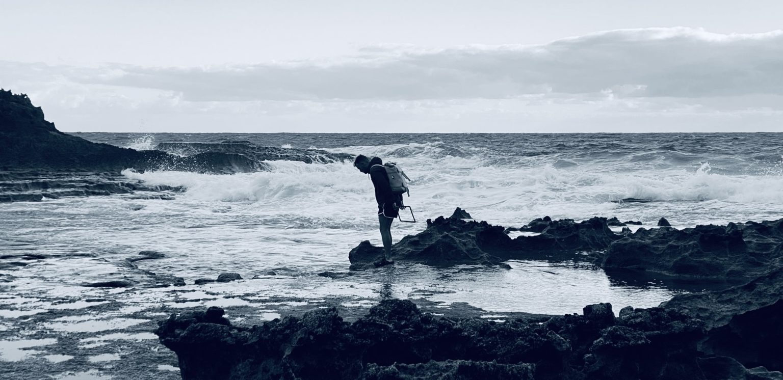 Climate change & human pressures - MARE-Madeira