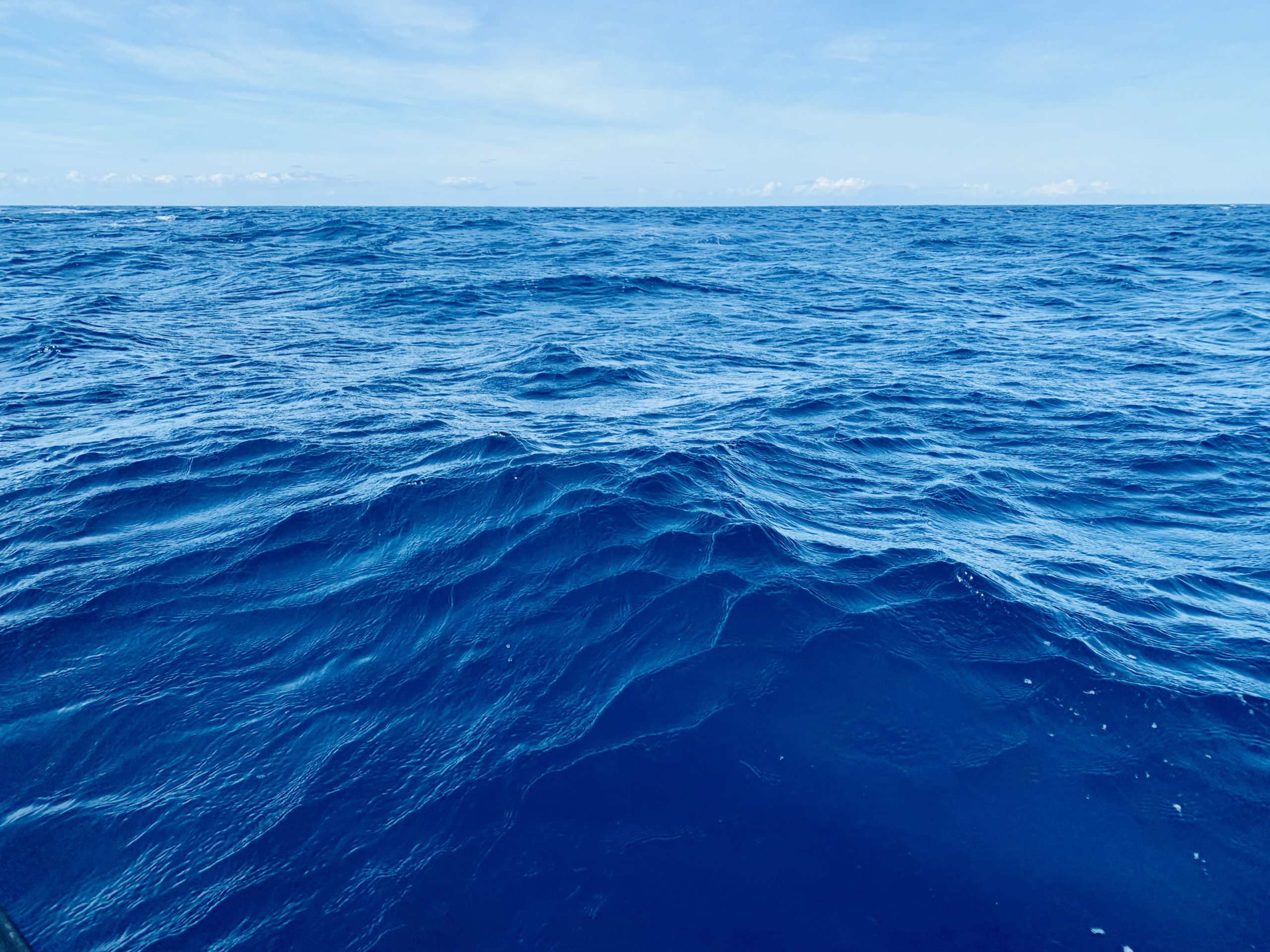 Madeira & Europe's Largest Marine Reserve - MARE-Madeira