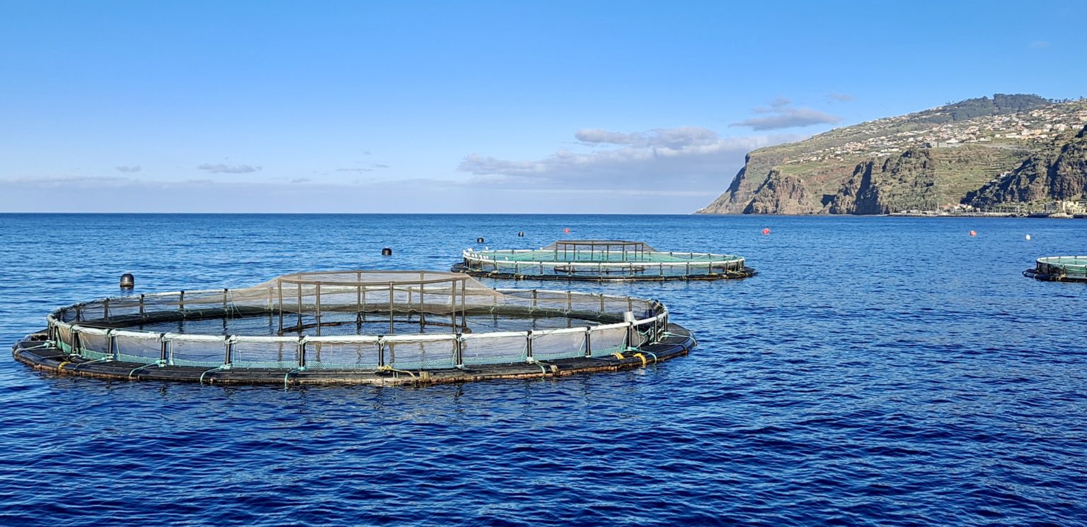Aquaculture in the Atlantic - MARE-Madeira