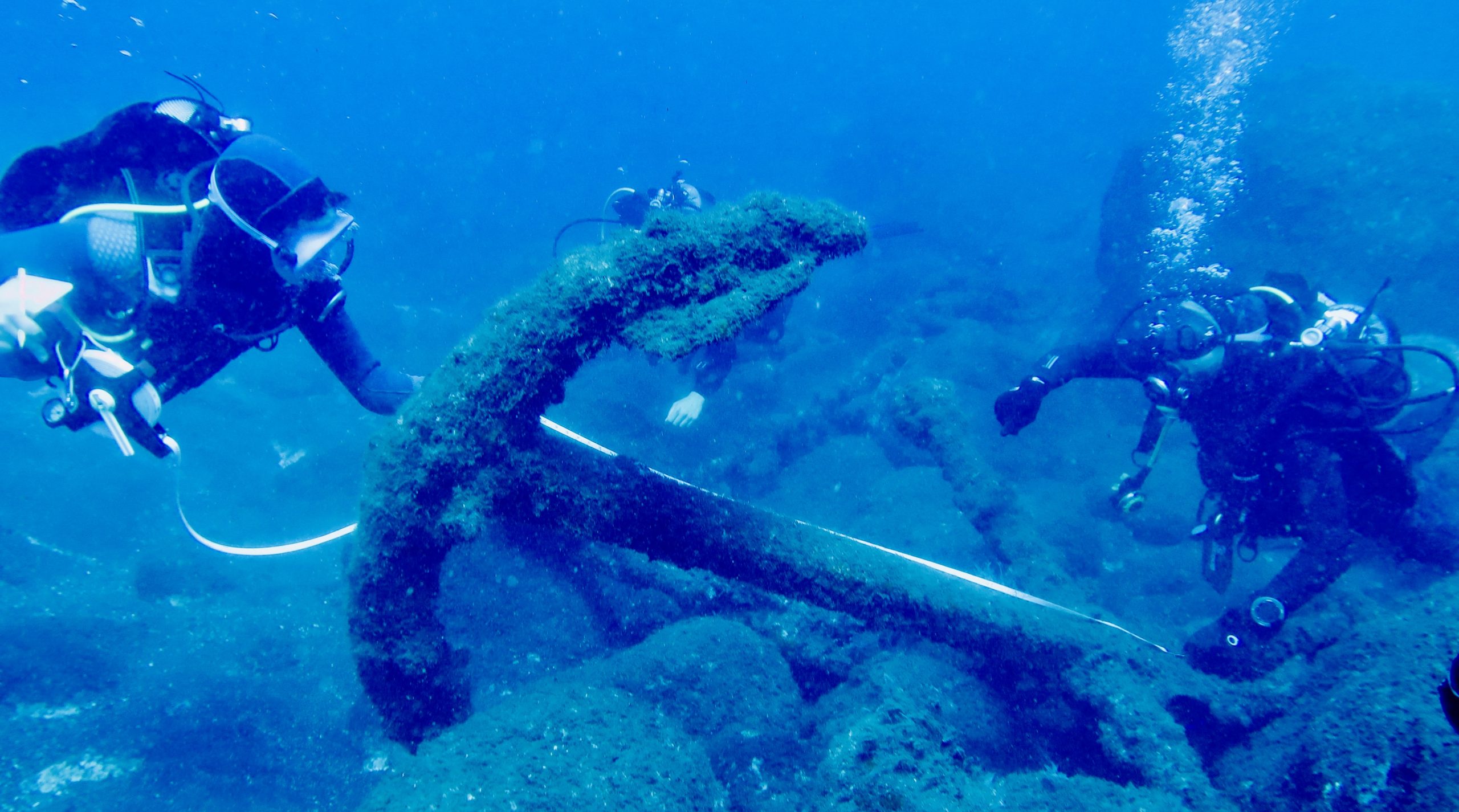 Citizen science, scuba diving and the economics of environmental health - MARE-Madeira